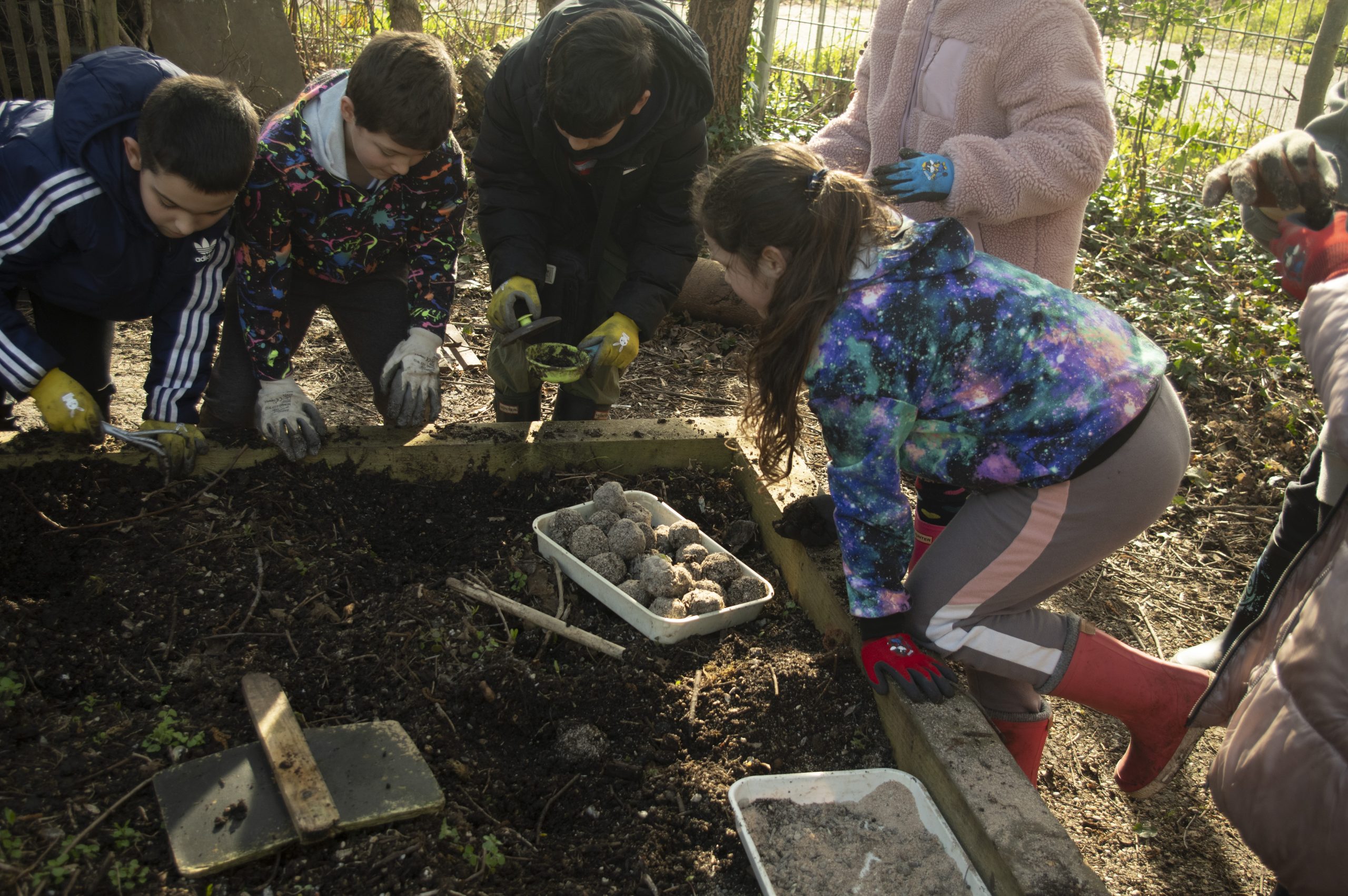 Weeds and Seeds March 2024 - Rainham & Purfleet Wildlife Explorers